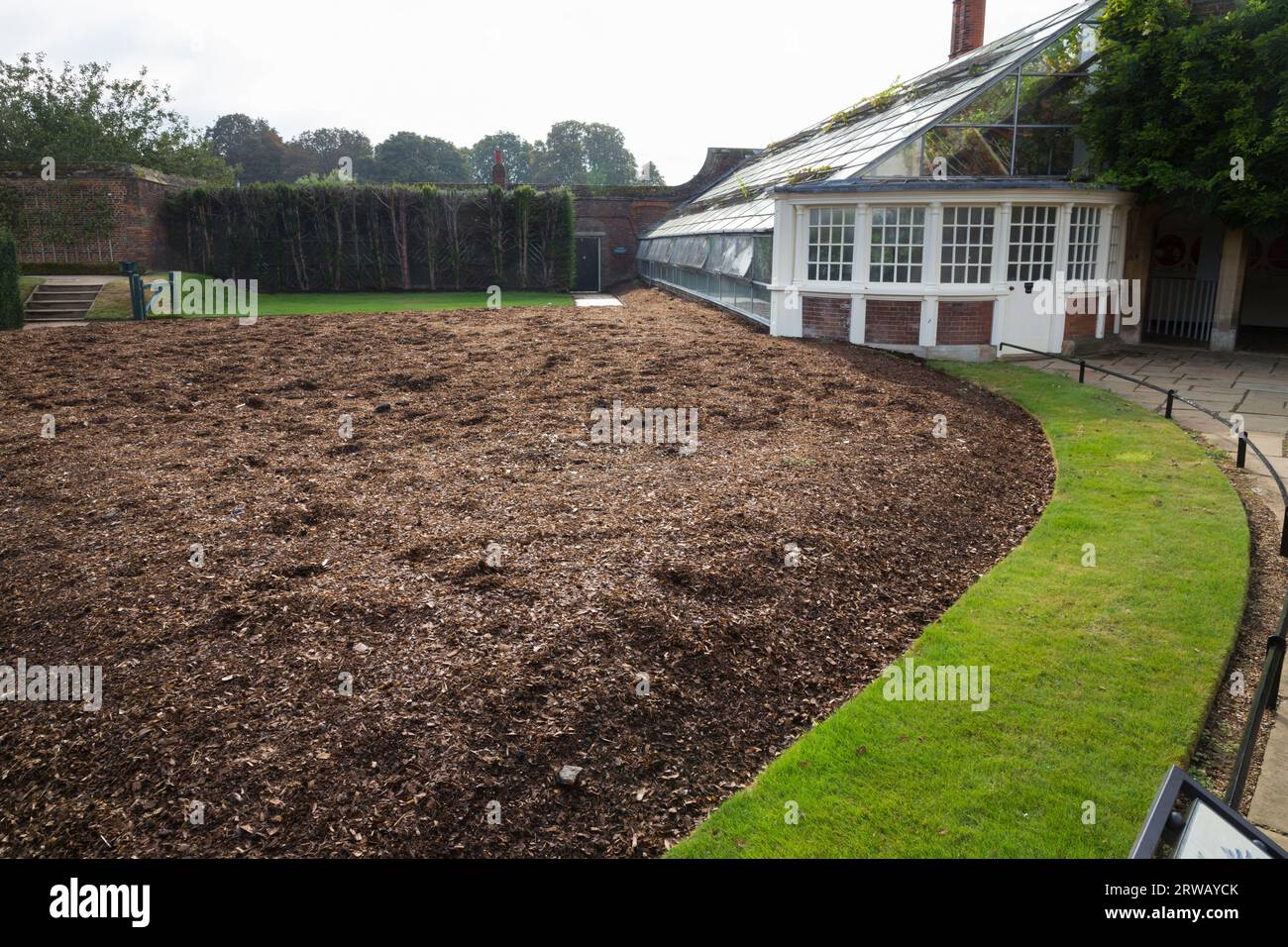 Grape vine uk hi-res stock photography and images - Alamy