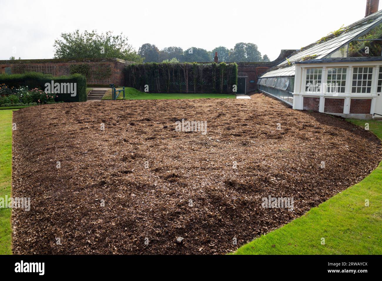 Grape vine uk hi-res stock photography and images - Alamy