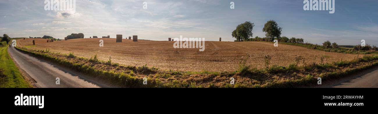 Giant haystacks in the fields after harvesting wheat or barley in East ...