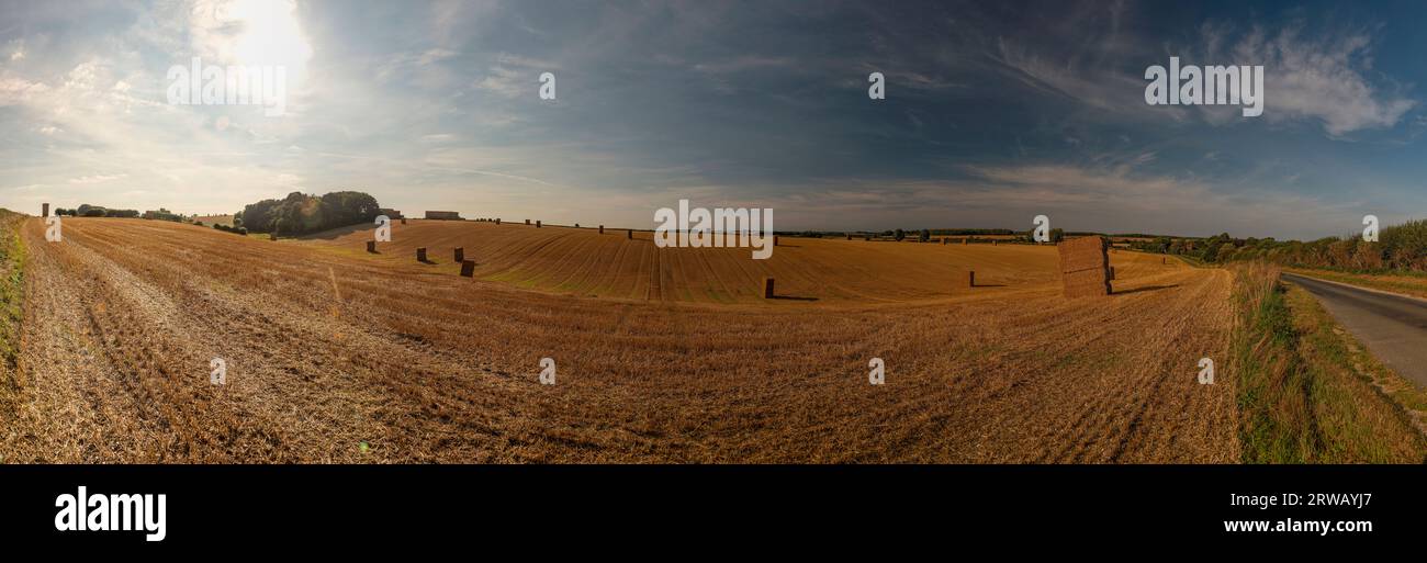 Giant haystacks in the fields after harvesting wheat or barley in East ...