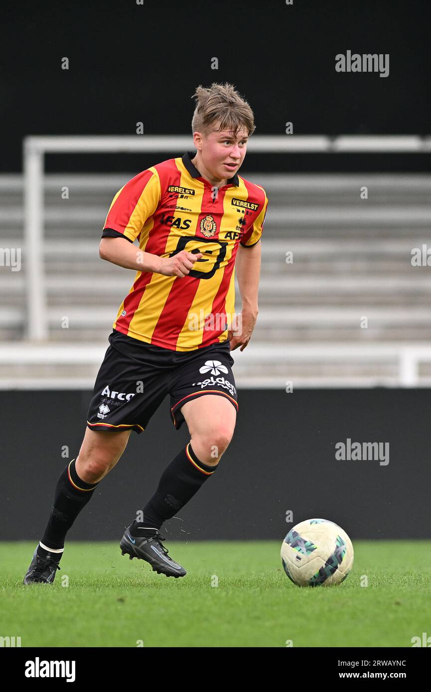 Aster club hi-res stock photography and images - Alamy