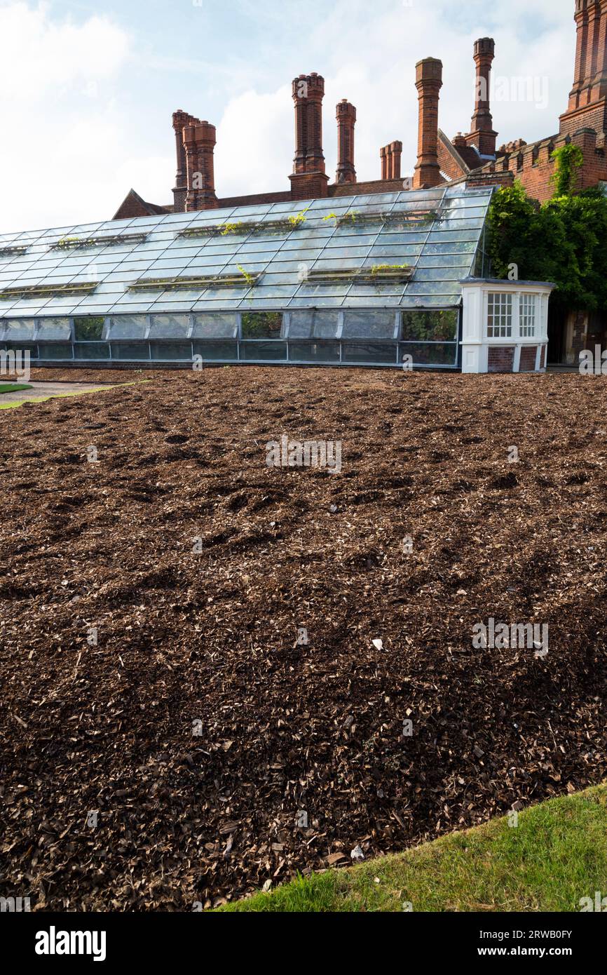 Greenhouse containing the Great Vine at Hampton Court Palace garden in ...