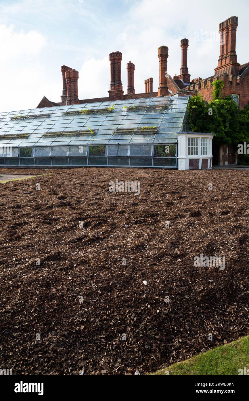 Greenhouse containing the Great Vine at Hampton Court Palace garden in ...