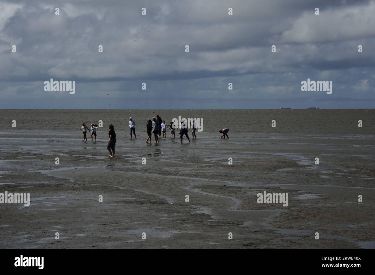 Mudflats during low tide hi-res stock photography and images - Alamy