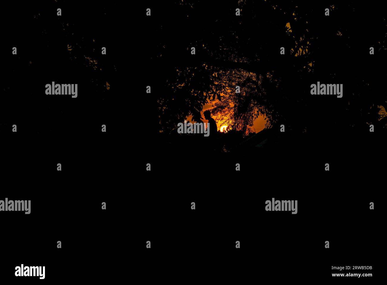 Gold reflection man hi-res stock photography and images - Alamy