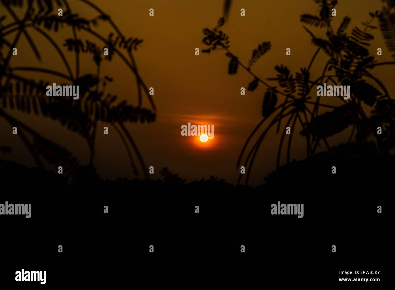 Sunsets are nature's most wonders. The sunset is typically considered ...