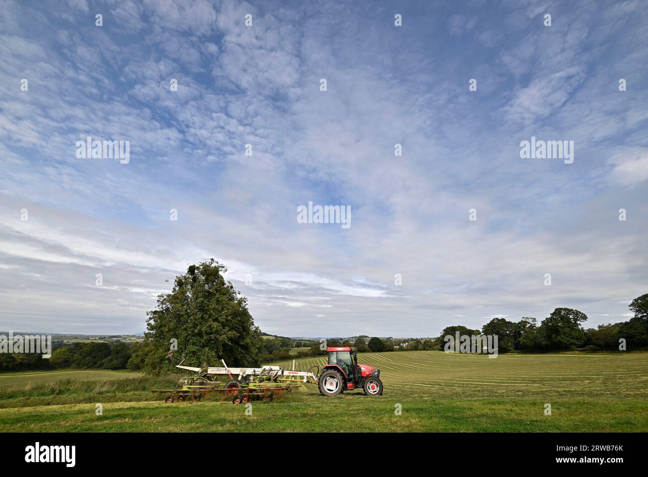 Tractor in field moving the grass for silage with the rolling Somerset ...