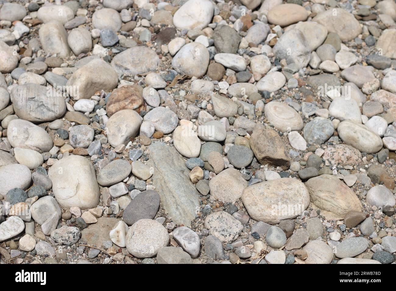 A lot of river pebbles in the send Stock Photo - Alamy