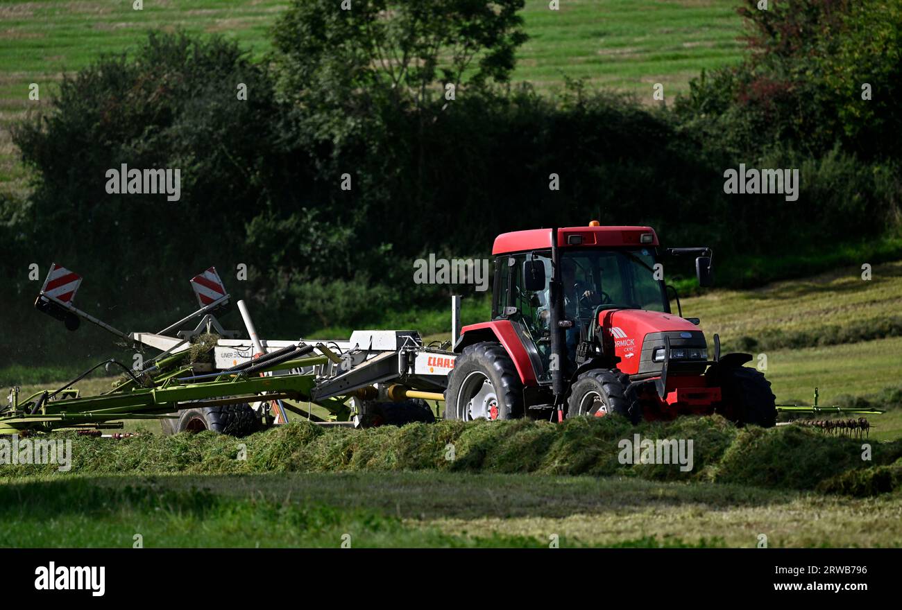 Tractor in field moving the grass into bigger more compact rows for ...