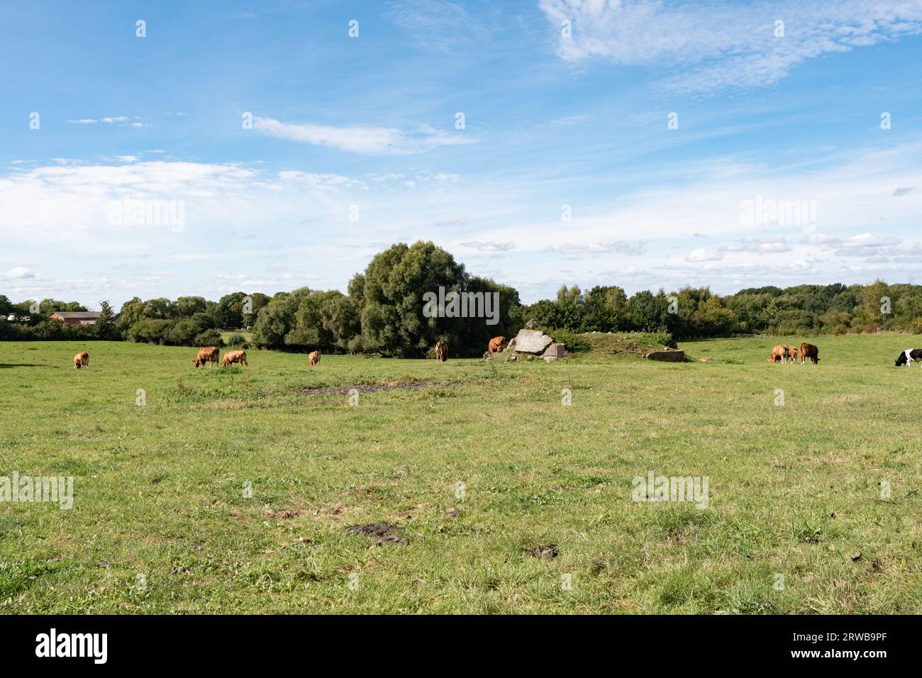 Open pastoral hi-res stock photography and images - Alamy