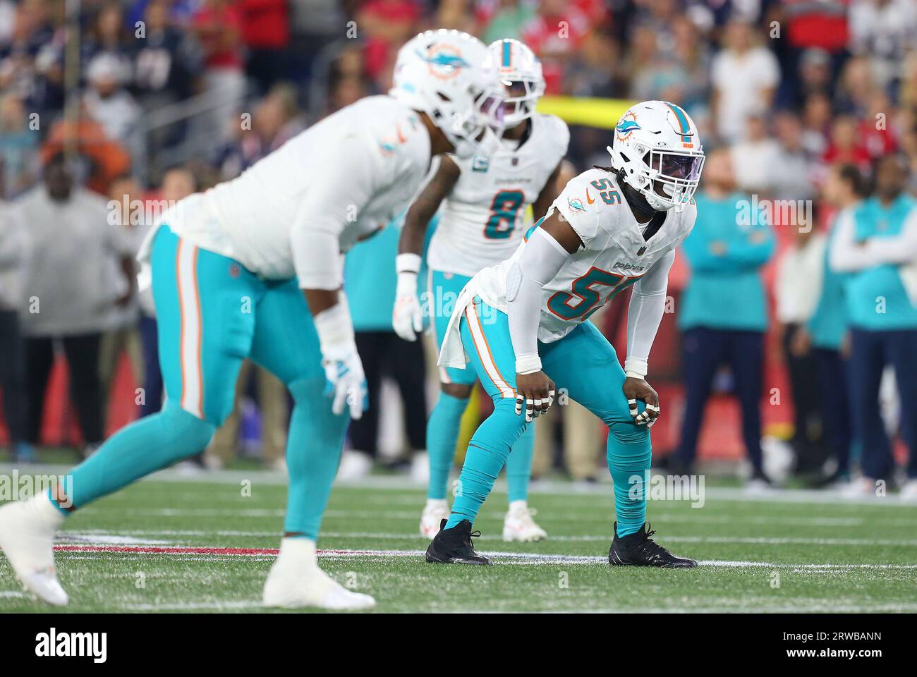 Jerome baker hi-res stock photography and images - Alamy