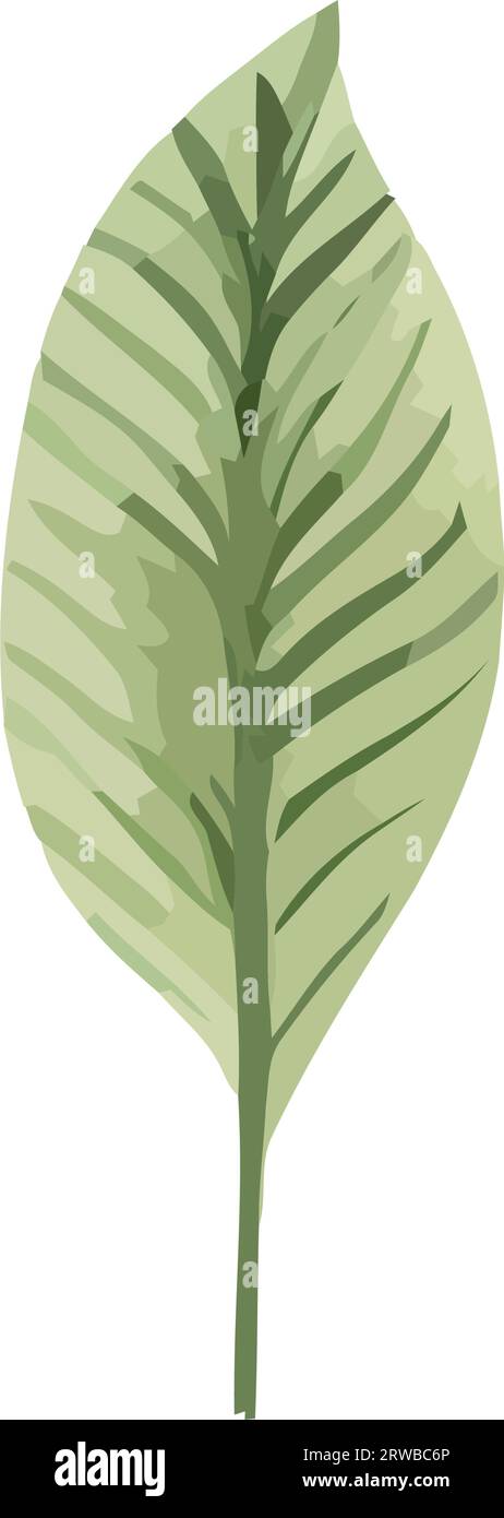 Leave colour Stock Vector Images - Alamy