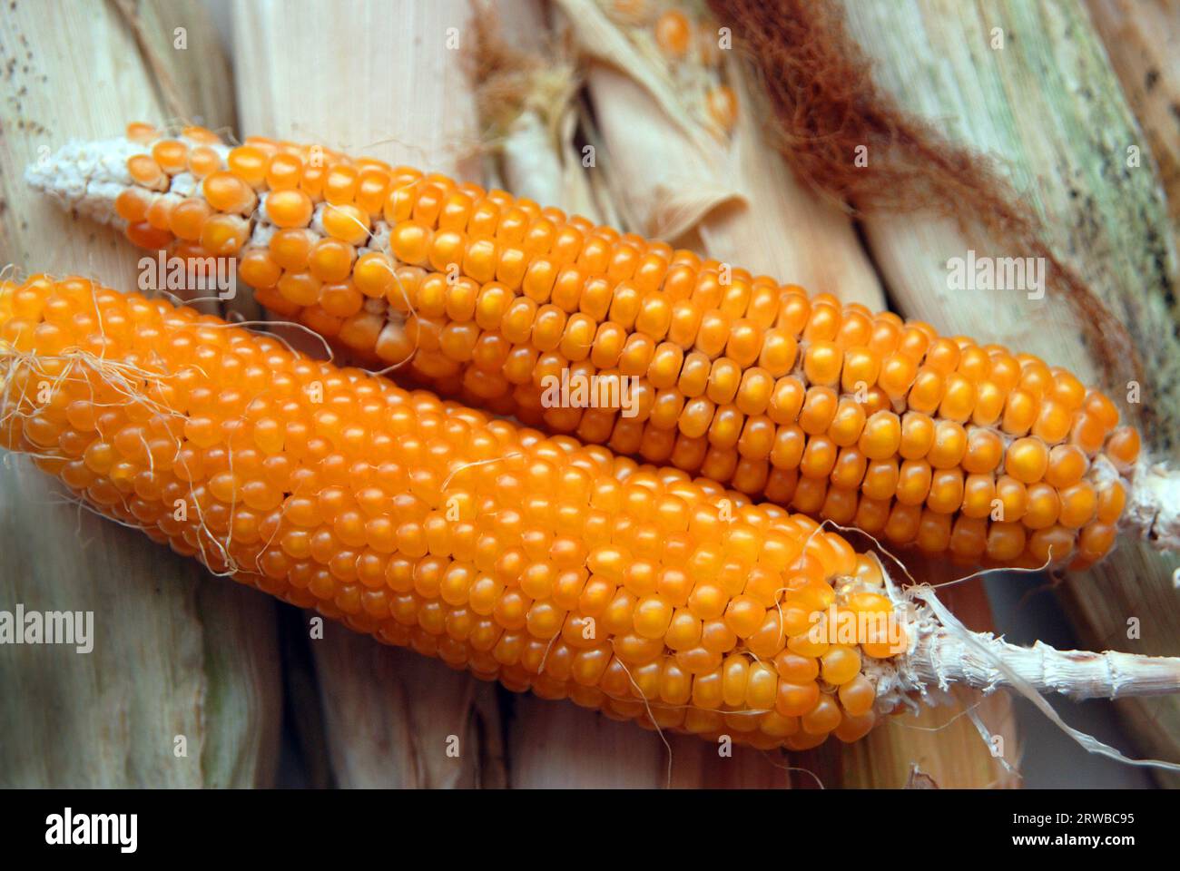 Dried foodstuff hi-res stock photography and images - Alamy