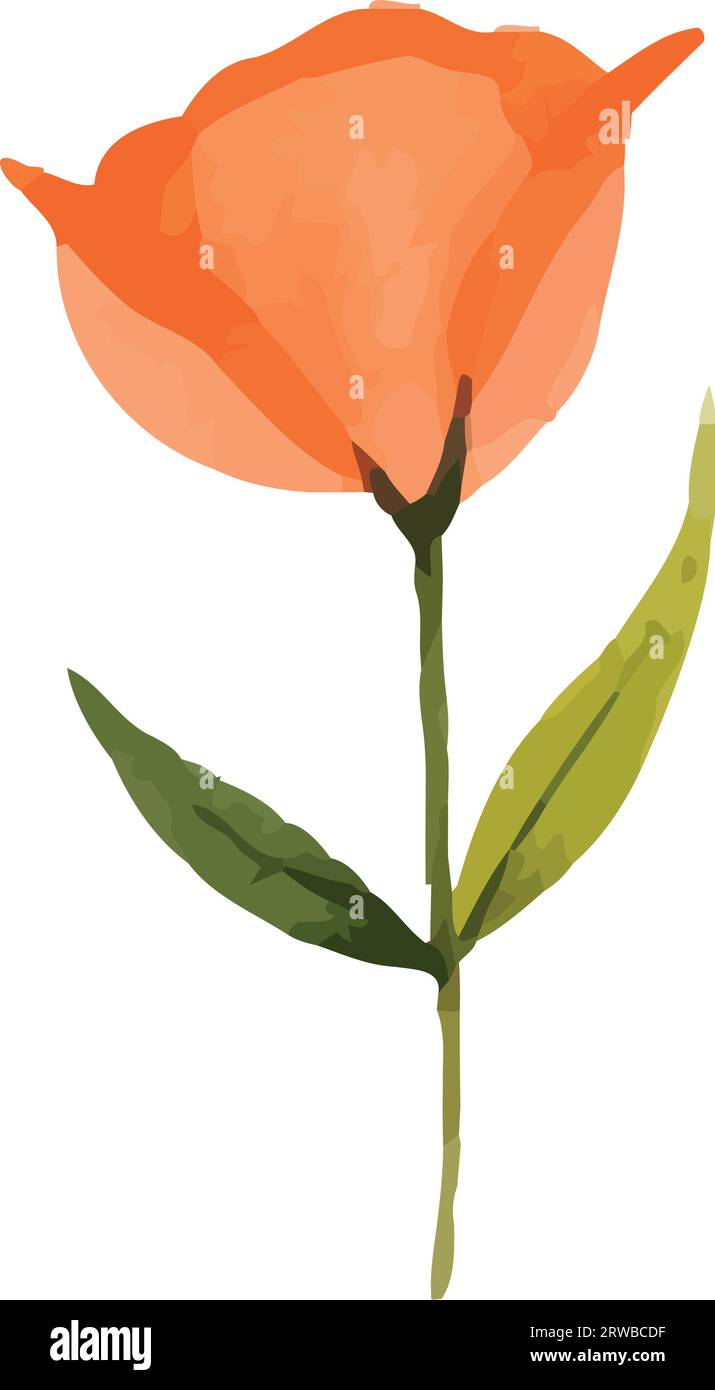 orange rose flower garden nature icon Stock Vector Image & Art - Alamy