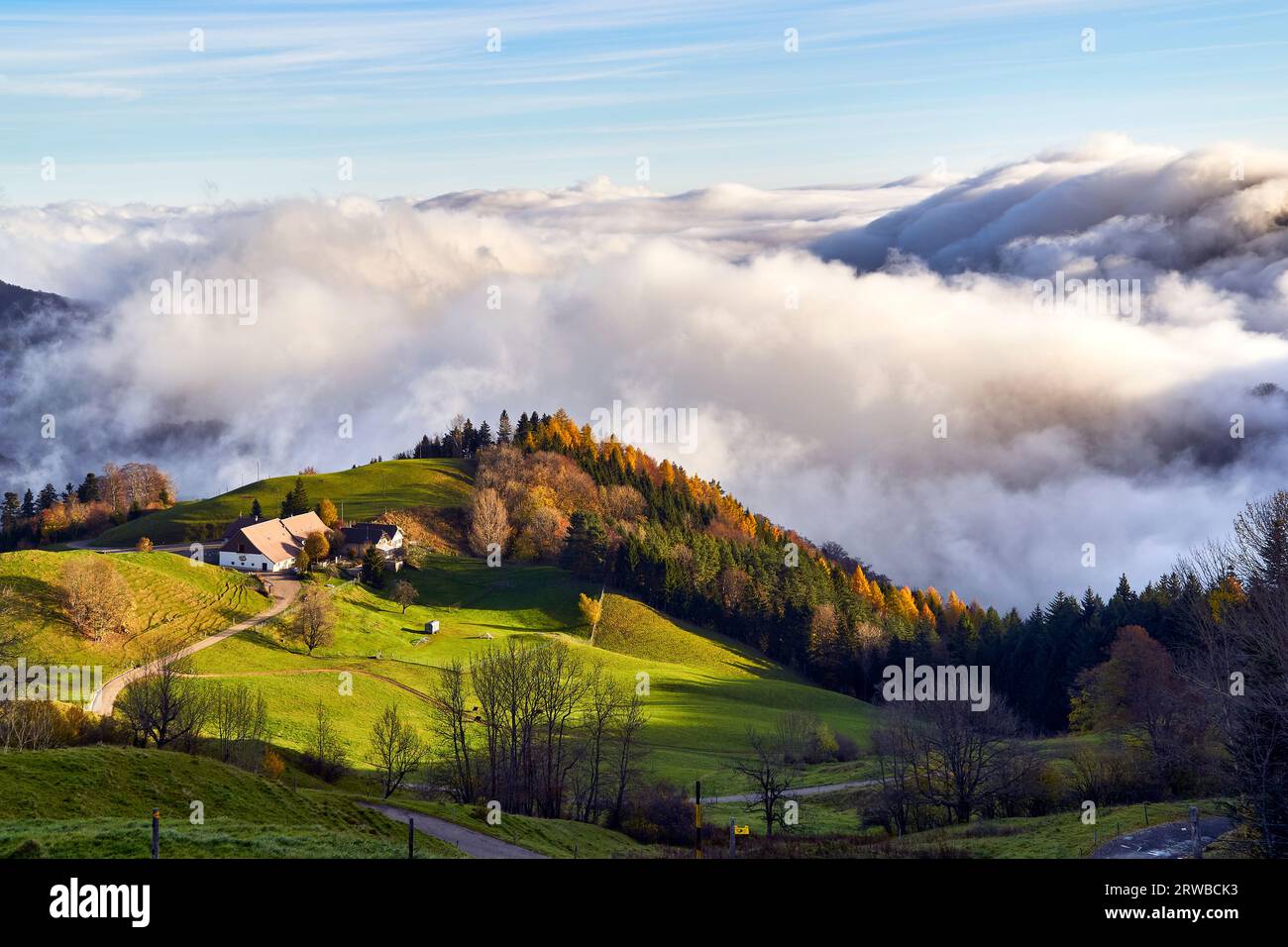 Canton of baselland hi-res stock photography and images - Alamy
