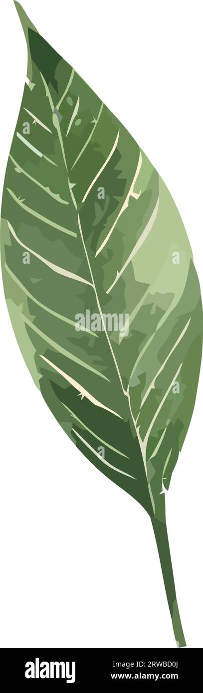 Leave colour Stock Vector Images - Alamy