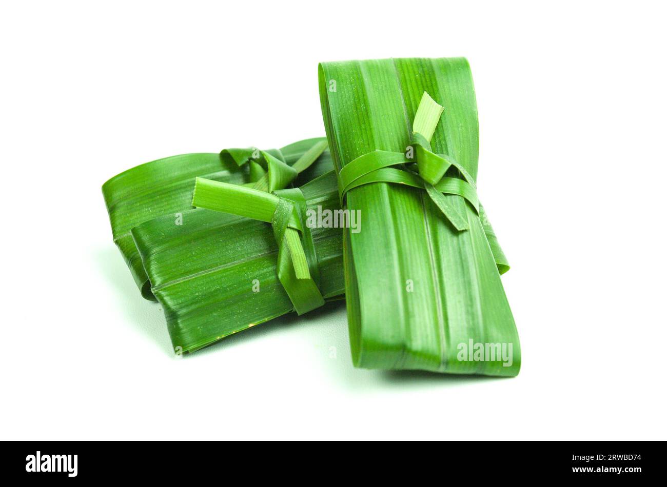(Pandanus amaryllifolius) Fresh green pandan leaves isolated on white ...