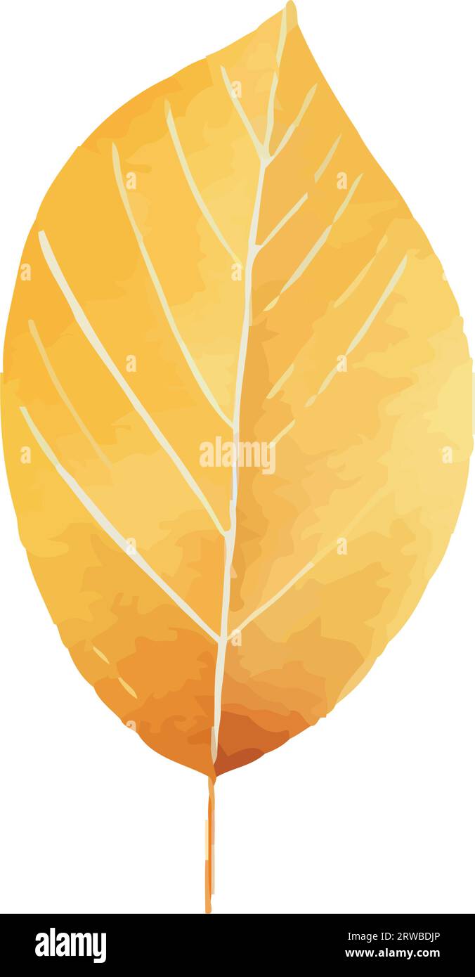 yellow leaf plant garden nature icon Stock Vector Image & Art - Alamy