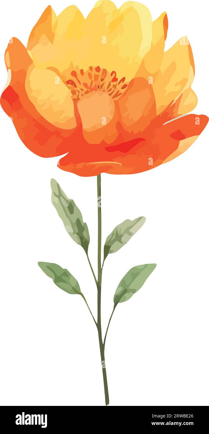 orange flower garden nature icon Stock Vector Image & Art - Alamy