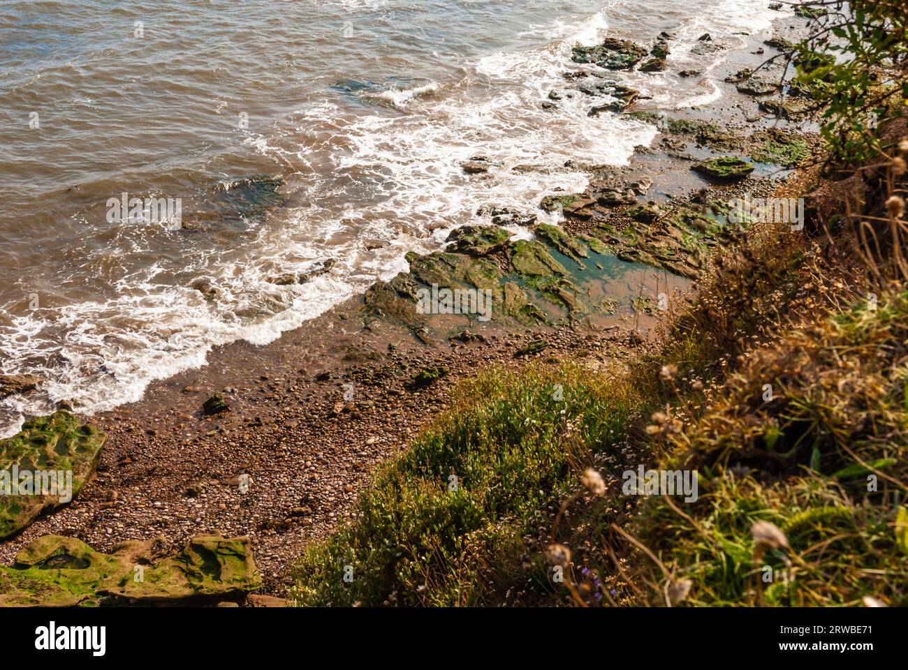 Otter Head the mouth of the river Otter in Devon Stock Photo - Alamy