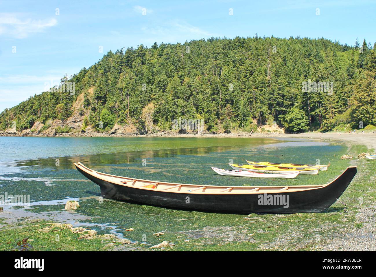 Northwest coast canoe hi-res stock photography and images - Alamy