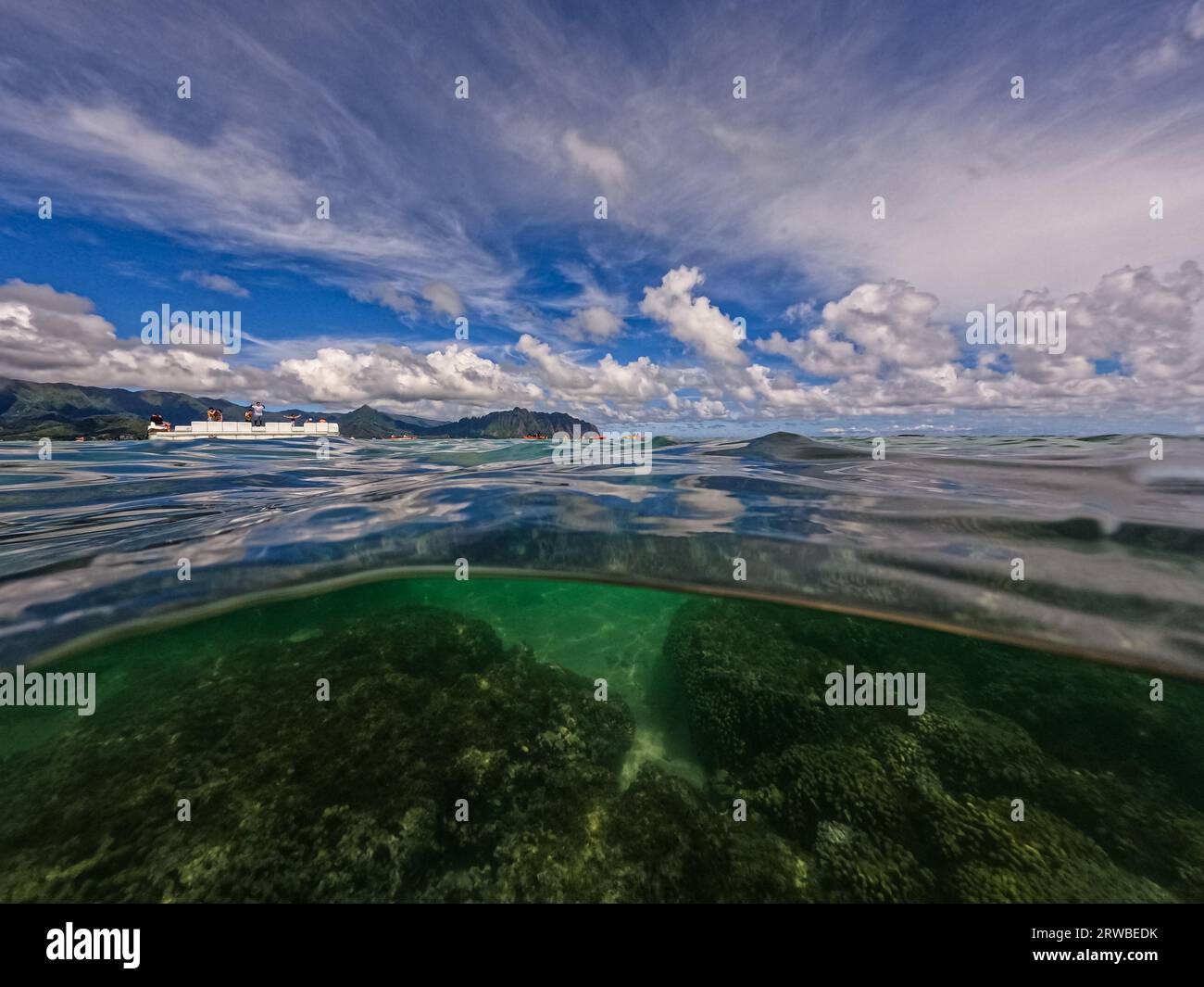 Over under shot Kaneohe Bay Sandbar, Oahu, Hawaii Stock Photo - Alamy