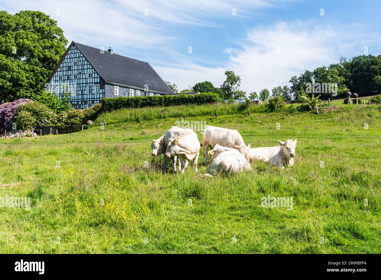 German countryside hi-res stock photography and images - Alamy