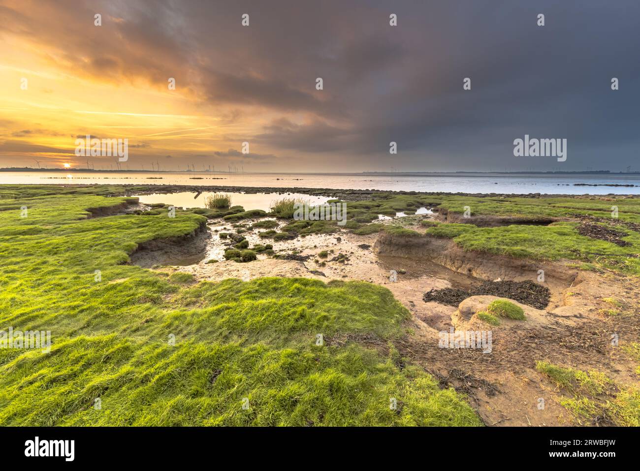 Erosion holes in grassland of tidal marsh of Dollard at the Punt van ...