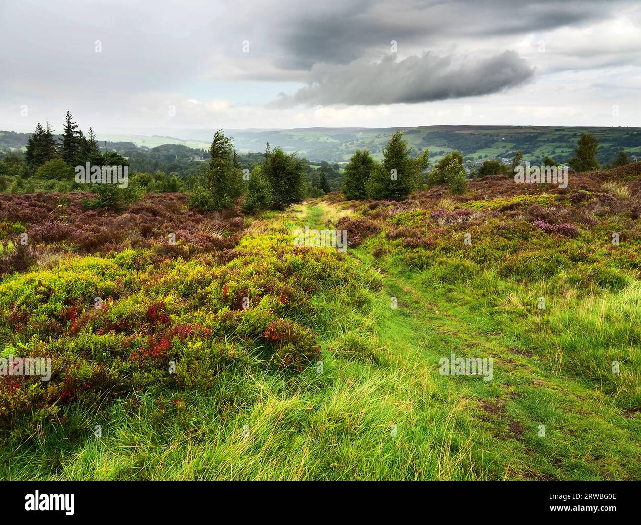 The Nidderdale Way crosses Nought Moor near Pateley Bridge Nidderdale ...