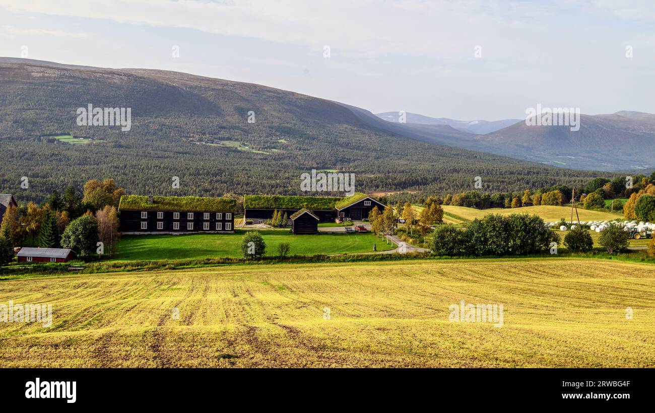 Large farm at Ålbusgrenda, close to Oppdal (Trøndelag) Norway in ...