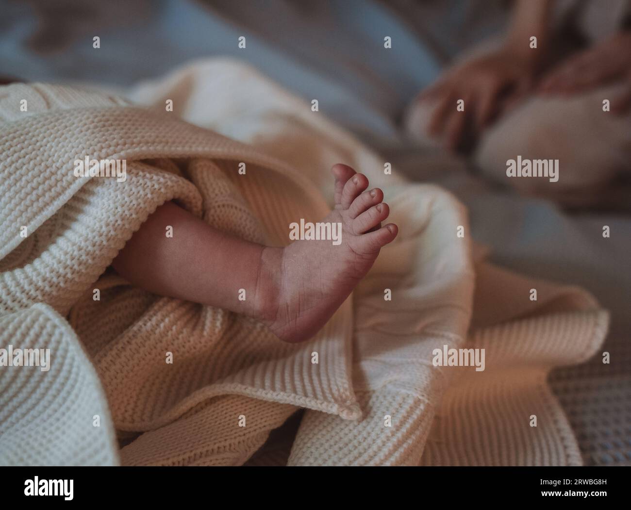 legs of a newborn baby in a beige muslin swaddle. close-up shot Stock ...