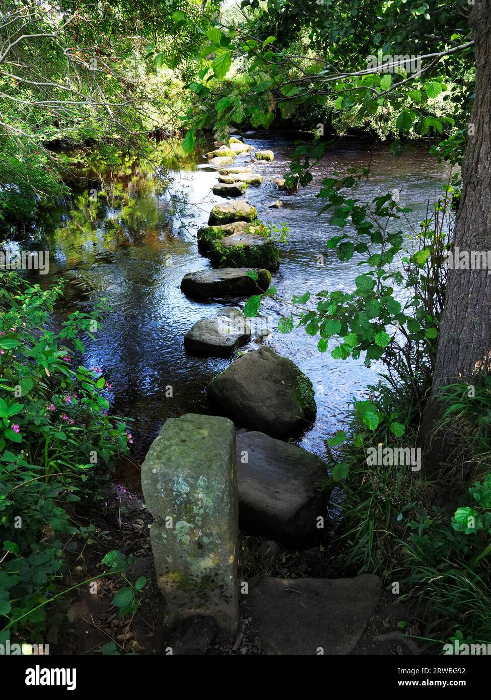 Dacre banks hi-res stock photography and images - Alamy