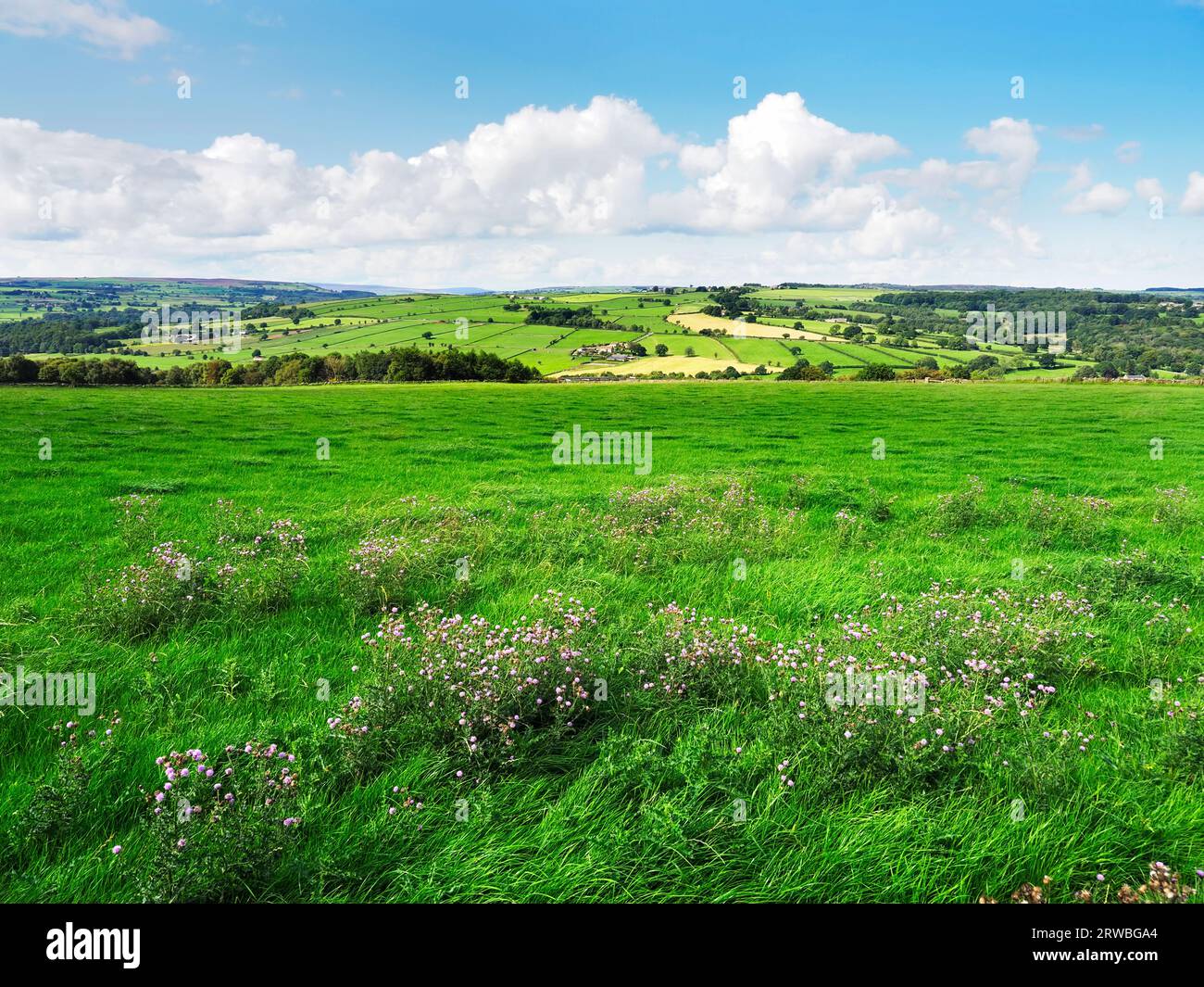 View over Nidderdale from the Nidderdale Way near Swarcliffe Nidderdale ...