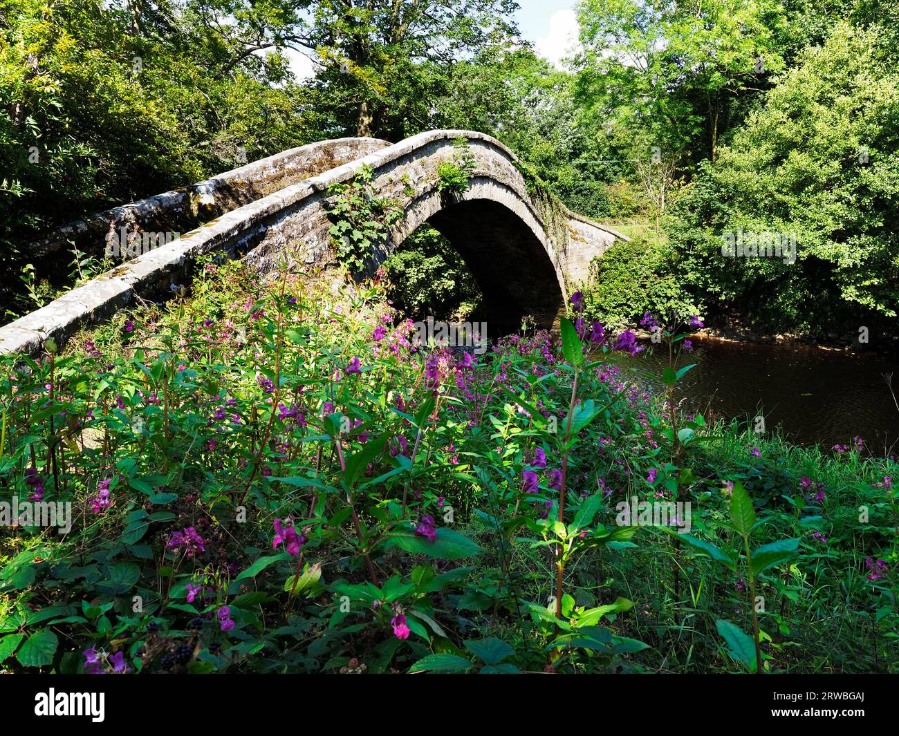 Packhorse bridge near birstwith hi-res stock photography and images - Alamy
