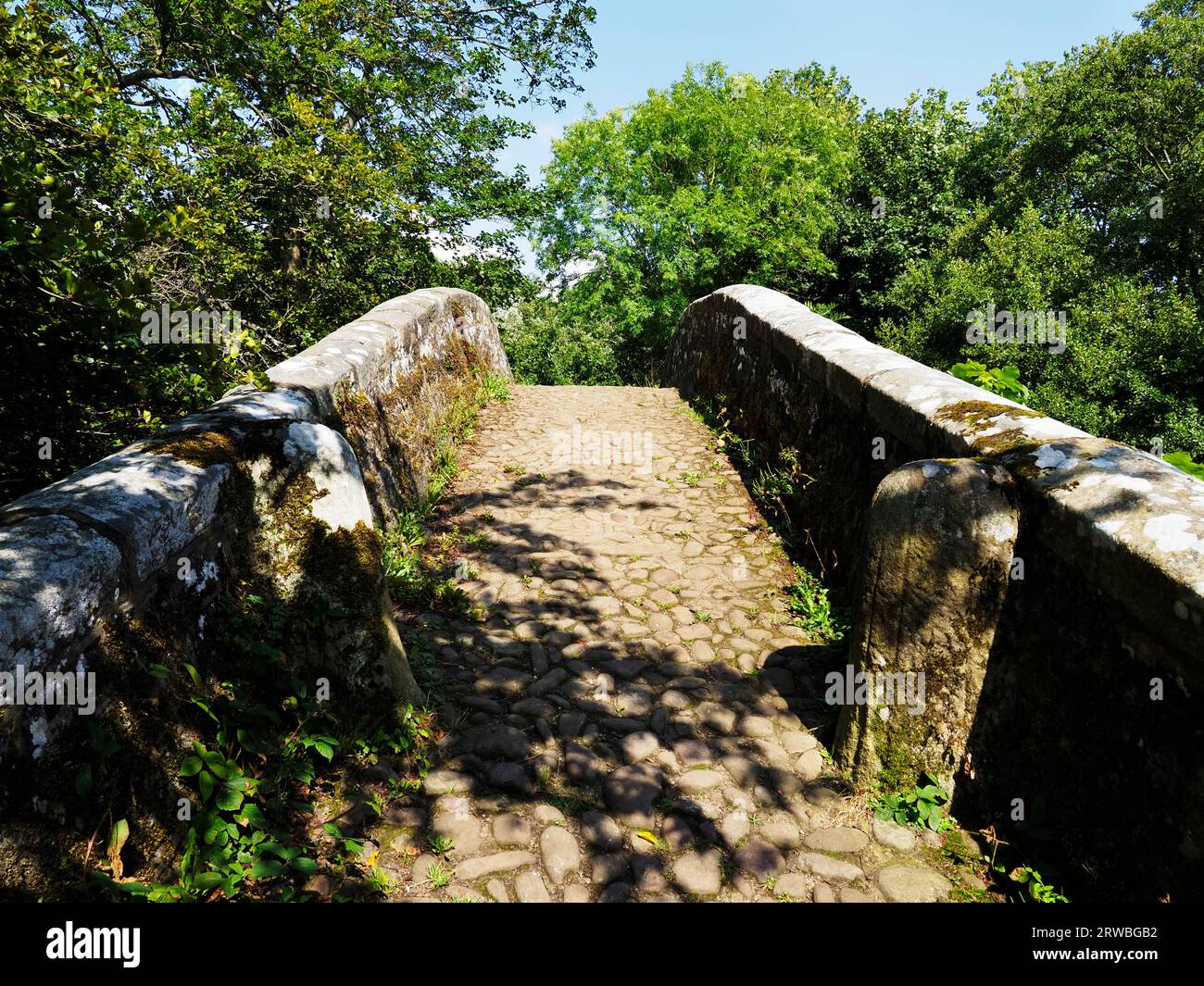 Packhorse bridge over the River NIdd from the Nidderdale Way near ...
