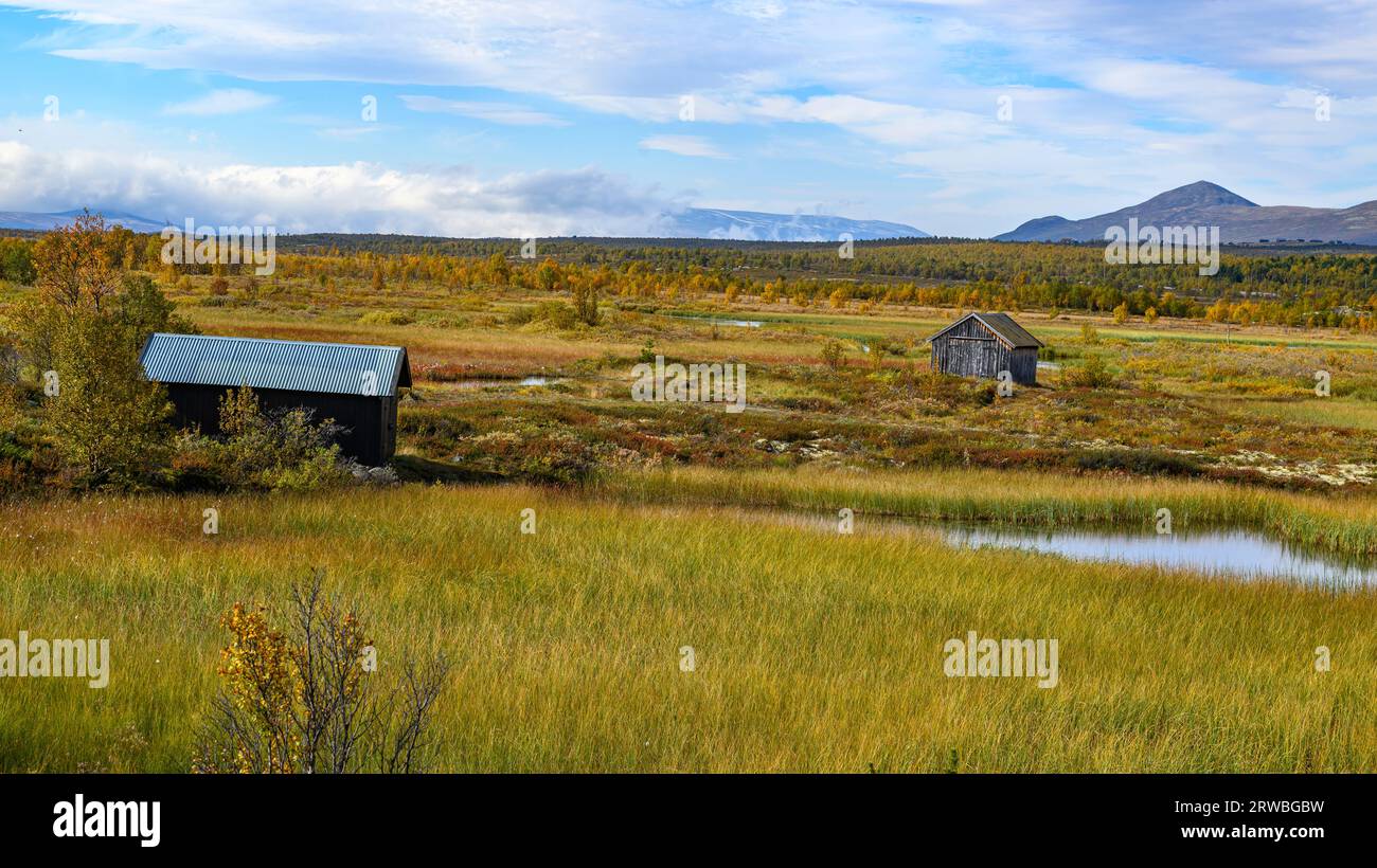 Fokstumyra naturreservat hi-res stock photography and images - Alamy