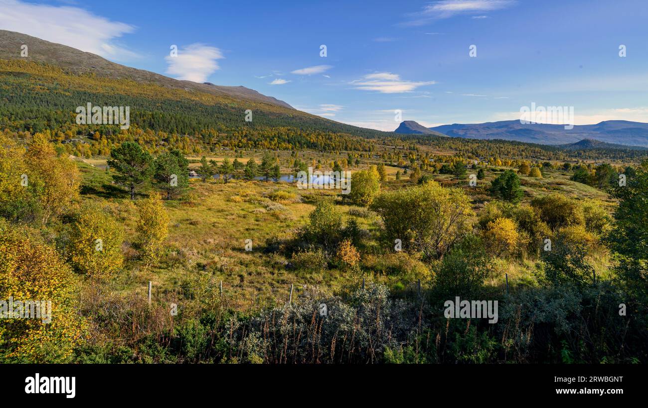 Stuttgonglia hi-res stock photography and images - Alamy