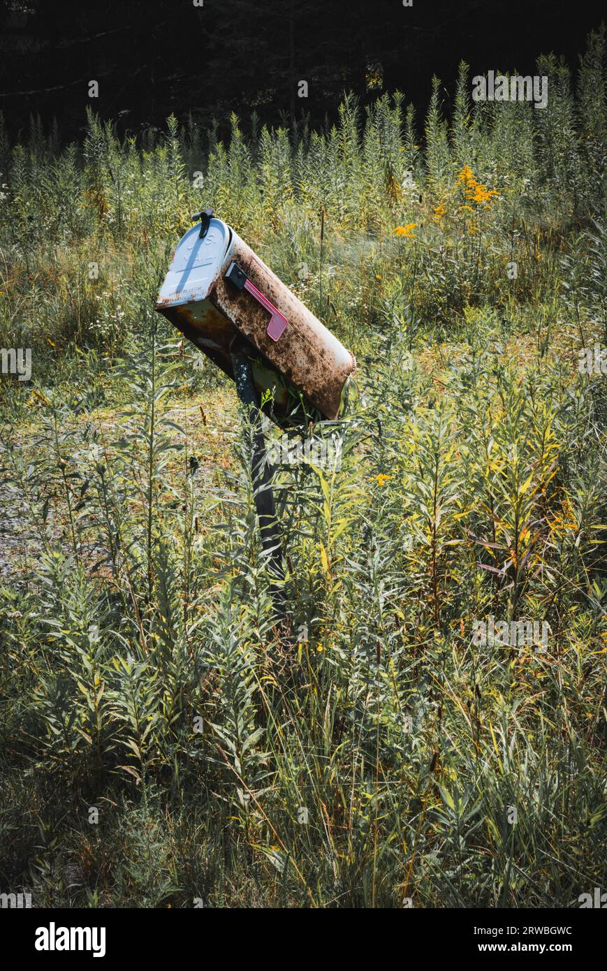 Rusted old weathered abandoned mailbox in the country, amid overgrown ...