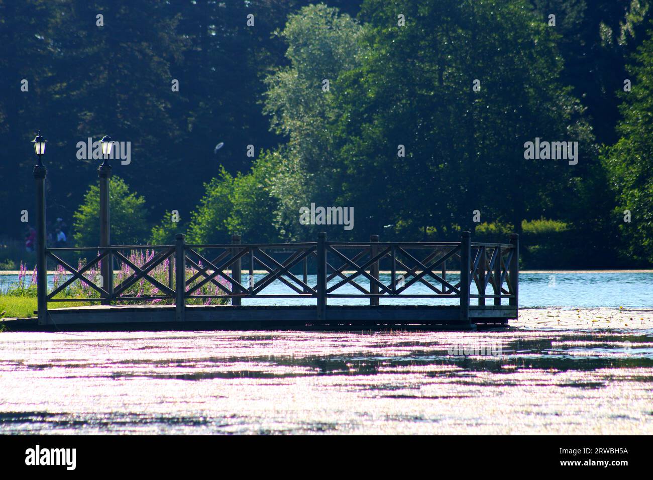 Observation post made of wood in the forest and lake Stock Photo - Alamy