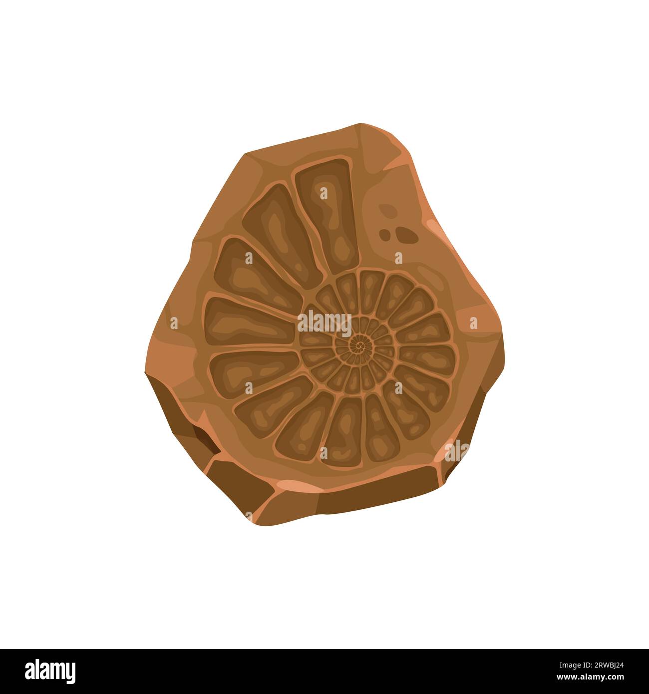 Ancient mollusc fossil imprint in stone. Jurassic era aquatic animal ...