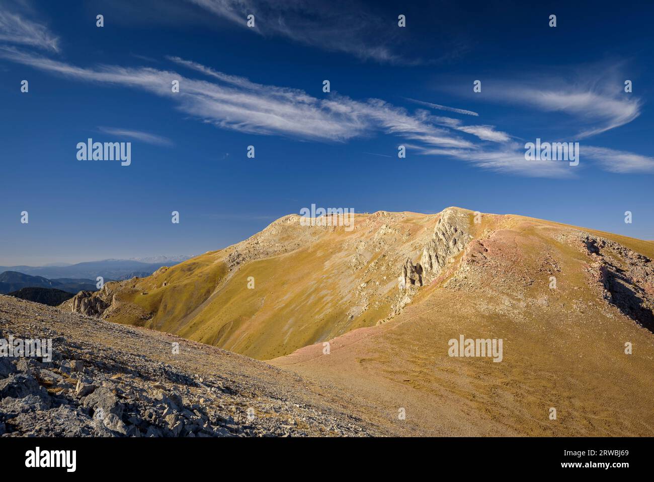 Cima del bunker hi-res stock photography and images - Alamy