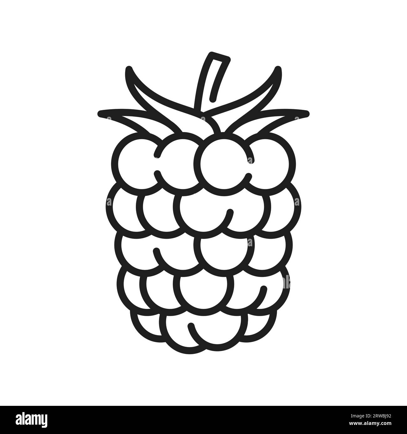 Raspberry isolated organic berry thin line icon. Vector healthy summer ...