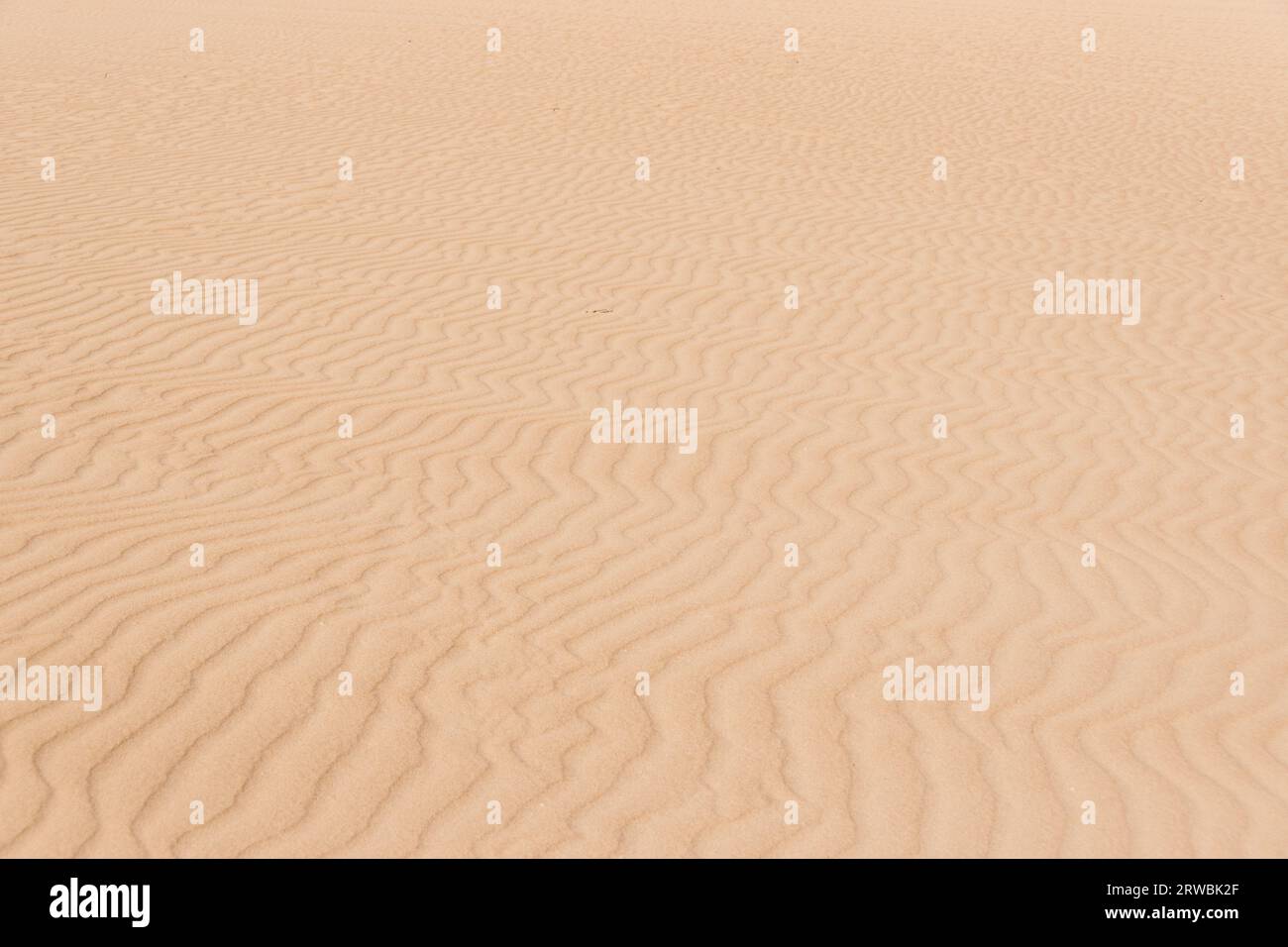 Patterns in a dune Stock Photo - Alamy