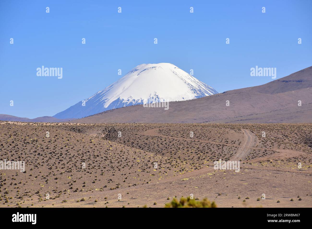 Parinacota Volcano. Lauca National Park, Norte Grande de Chile Stock ...