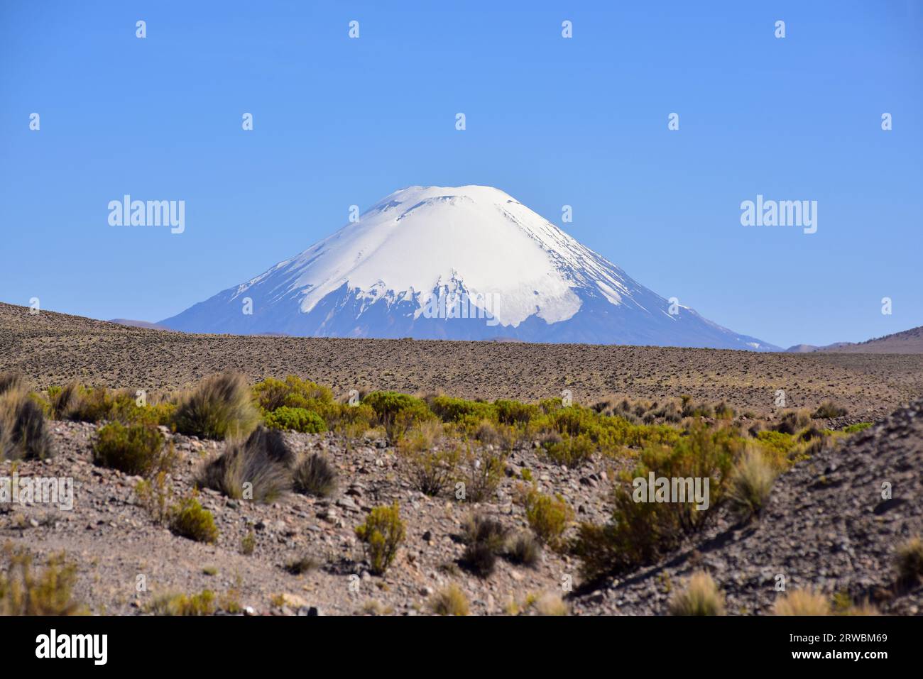 Parinacota Volcano. Lauca National Park, Norte Grande de Chile Stock ...
