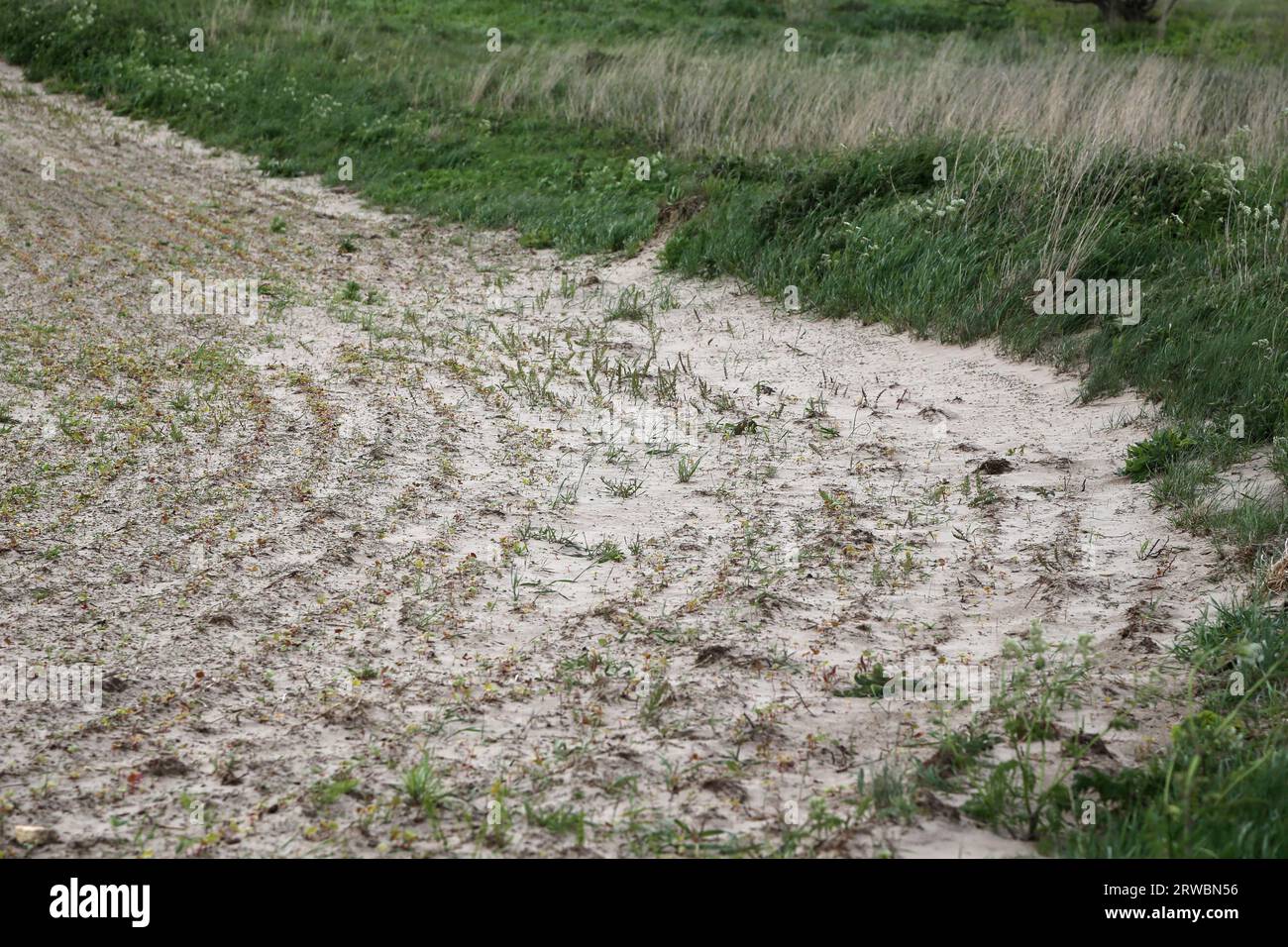 Farm Affected by Drought in Germany Stock Photo - Alamy