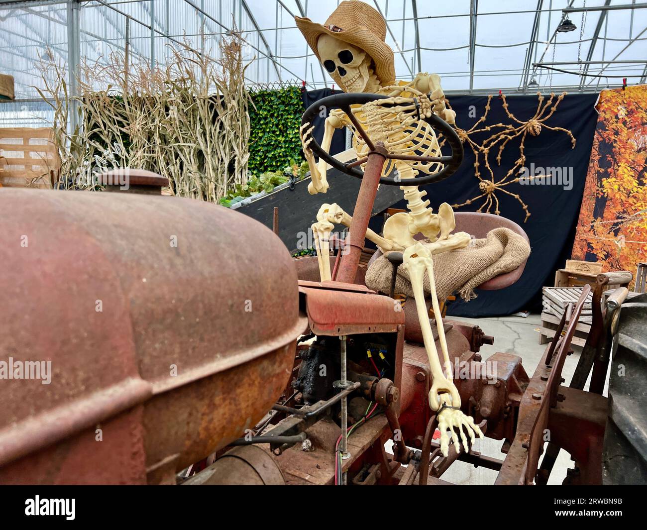 A skeleton in a straw hat sits behind the wheel of a tractor Spiders in ...