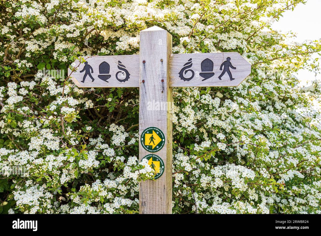 Footpath sign on for the Wales Coast Path & the Pembrokeshire Coast ...