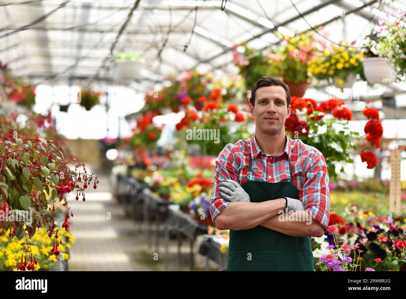 Gardener works in a greenhouse in a flower shop - closeup photo Stock ...