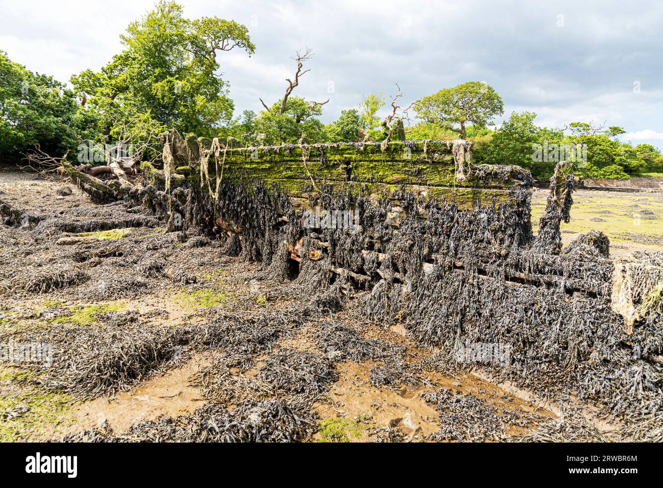 Lowestoft trawler "Helping Hand" (built 1921) laid up in Black Mixen ...